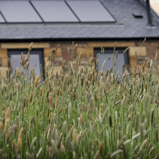 The Hemmel - Kidlandlee